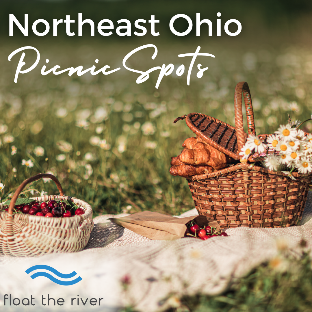 Best Fall Picnic Spots in Northeast Ohio: Autumnal Beauty & Outdoor ...